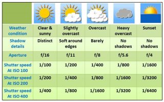 Sunny 16 Rule For Photography - Ehab Photography