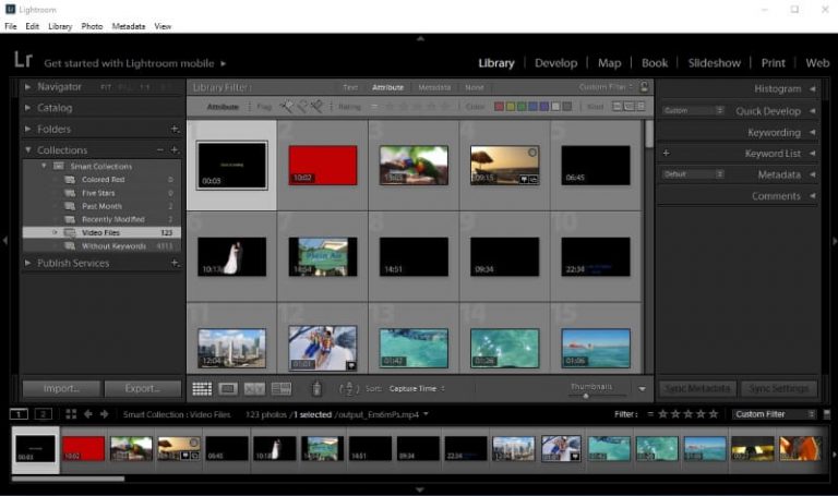What is Best Way to Organize Photos : Lightroom Option