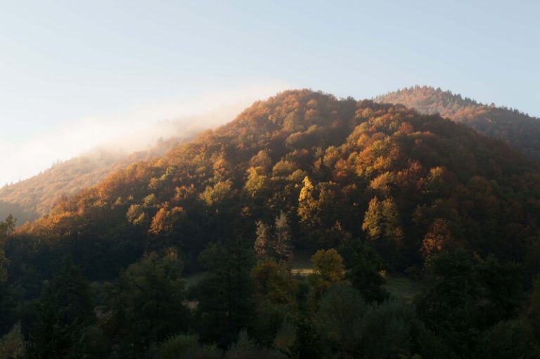 How to Expose for Highlights – A great Exposure Tip