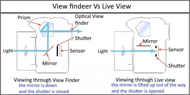 What is Live View in DSLR Cameras - Ehab Photography