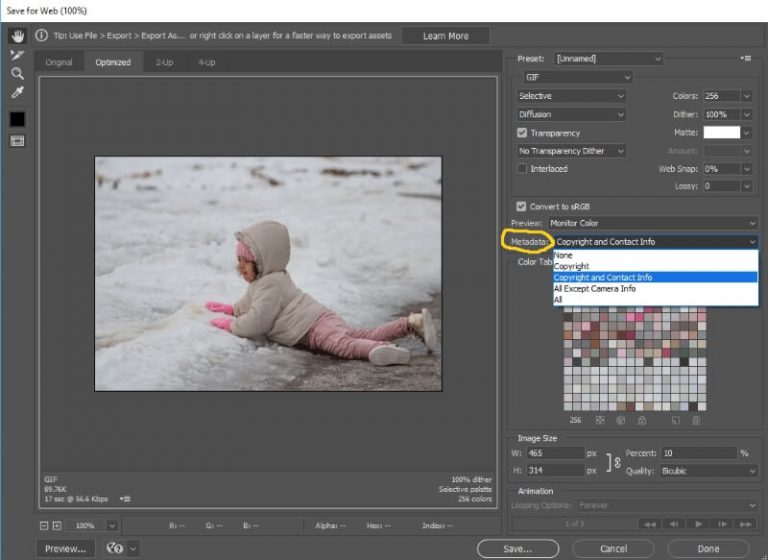 What is photo EXIF Data - Ehab Photography