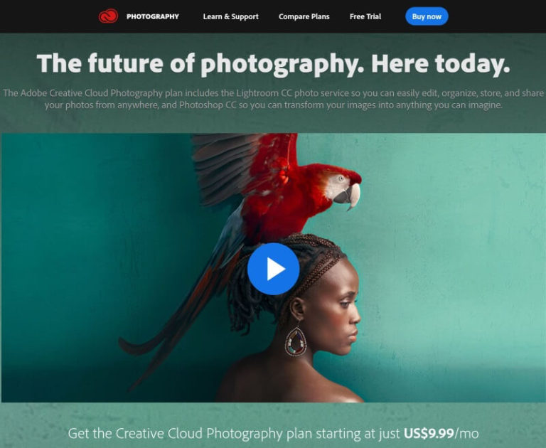 Adobe Portfolio Tutorial - Ehab Photography