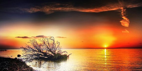 Best Time to Take Landscape Photos- Golden and Blue hour