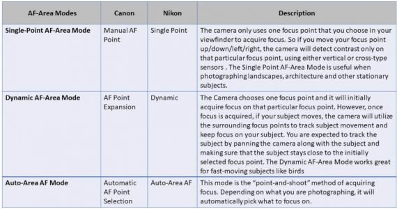 Canon Auto focus Problems – How To Avoid and Fix Them?