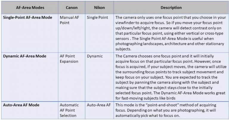 Canon Auto focus Problems – How To Avoid and Fix Them?
