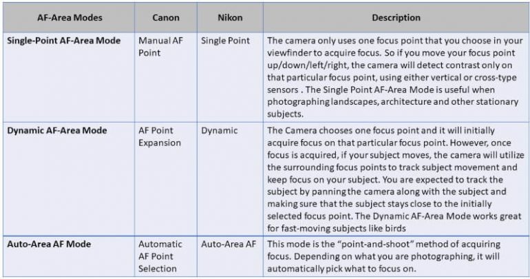 Canon Auto focus Problems – How To Avoid and Fix Them?
