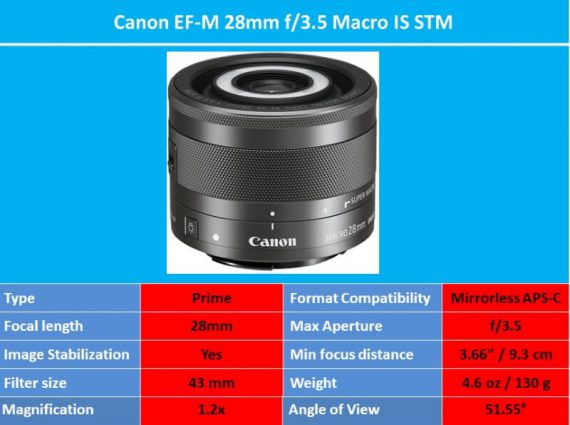Best Macro Lenses for Canon - Ehab Photography