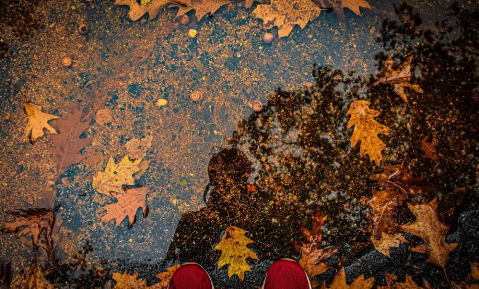 8 Abstract Photography Ideas to Get You in Experimental Mode