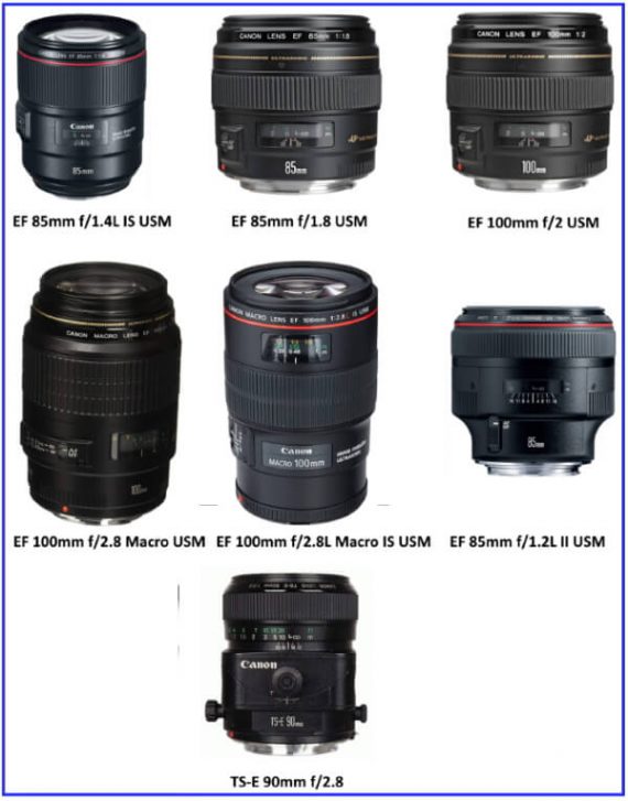 Camera Lenses Buying Guide- How to Choose the Right Lens