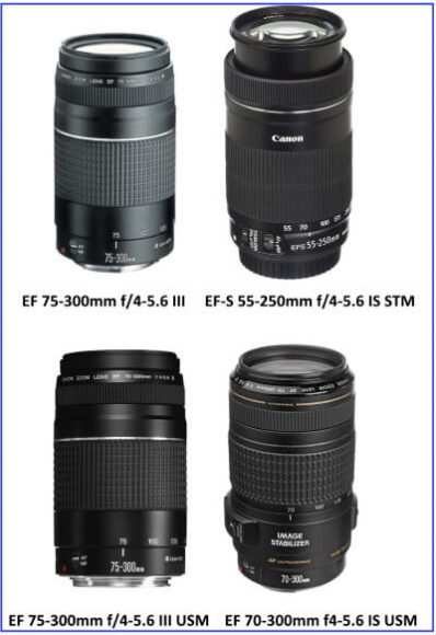 Camera Lenses Buying Guide- How to Choose the Right Lens