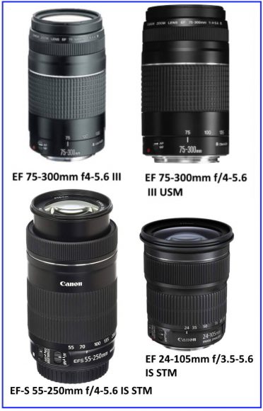 Camera Lenses Buying Guide- How to Choose the Right Lens