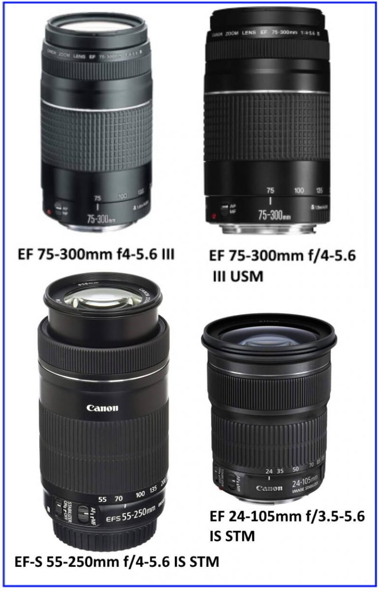 Camera Lenses Buying Guide- How to Choose the Right Lens