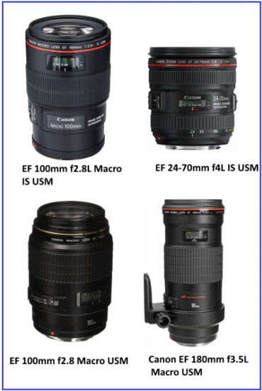 Camera Lenses Buying Guide- How to Choose the Right Lens