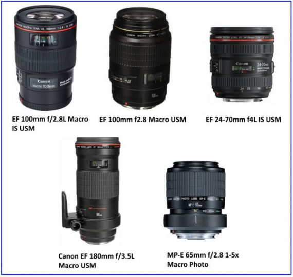 Camera Lenses Buying Guide- How to Choose the Right Lens