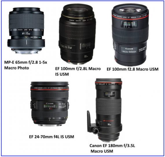 Camera Lenses Buying Guide- How to Choose the Right Lens