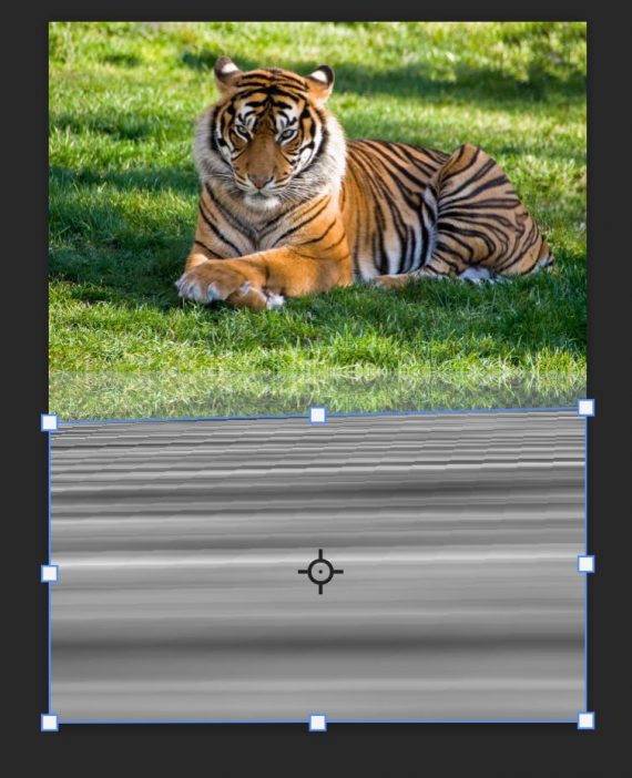 How to Add Reflection in Photoshop - Ehab Photography