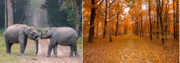 Create Real Shadow in Photoshop - Ehab Photography