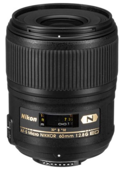 What is the Best Macro Lens for Nikon? | Ehab Photography