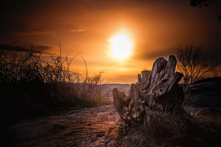 Photographer’s Guide to Landscape and Night Photography