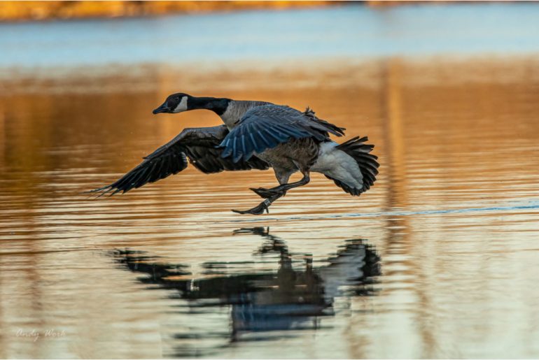 How to Adjust Facial Features in Photoshop