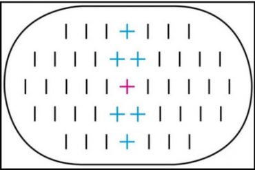 Canon autofocus systems Explained - Ehab Photography