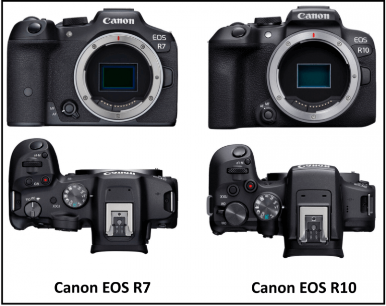 Canon R7 vs R10- New lineup RF Mount APS-C Cameras