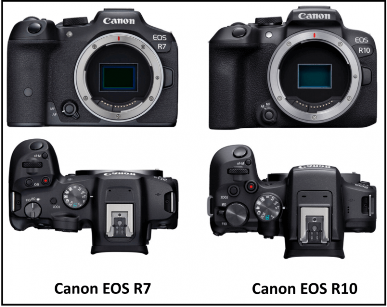 Canon R7 vs R10- New lineup RF Mount APS-C Cameras
