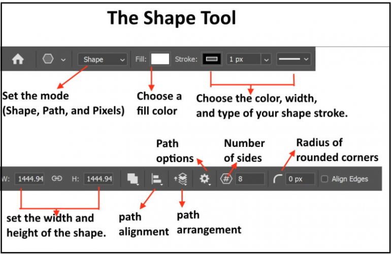 Place Images into Frames & Shapes | Ehab Photography