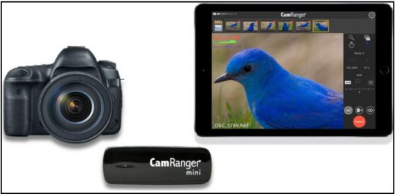 What is a Camera Remote? – Types and Recommendations
