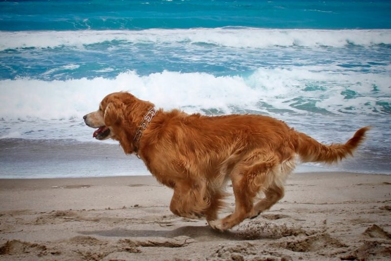 Fast Shutter Speed Examples - Ehab Photography