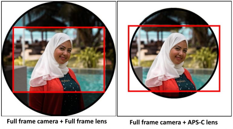 Sony Digital Camera Lenses- The Best Picks Ehab Photography