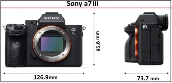 Sony A7 III vs A7 IV – The Full Comparison