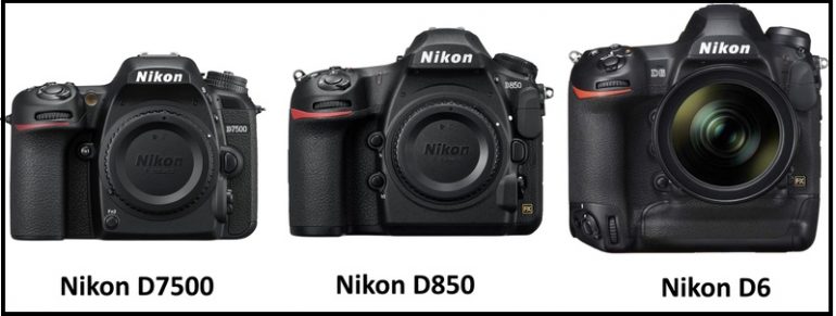 Mirrorless Camera vs DSLR Camera- Nikon Camera Comparison