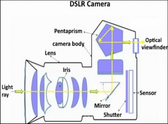 Mirrorless Camera vs DSLR Camera- Nikon Camera Comparison