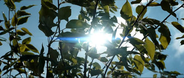 What is Anamorphic Lens? – Everything You Need to Know