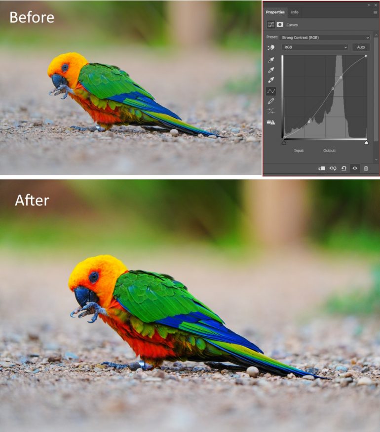 Understand the Curves Tool in Photoshop | Ehab Photography