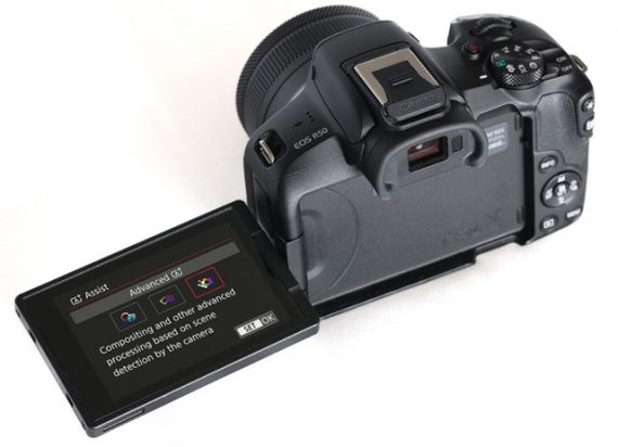 The Most Affordable R Camera: Canon EOS R50