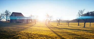 What is Anamorphic Lens? – Everything You Need to Know