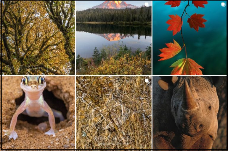 Color Harmony in Photography- Things You Need to Know