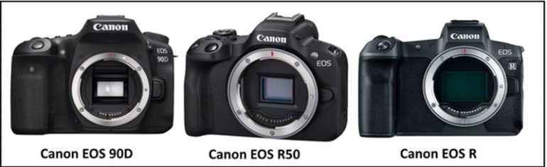 What is the Best Canon Camera for Wedding Photography?