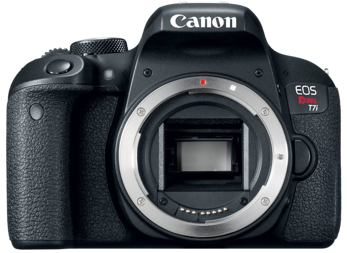 What is the Best Canon Camera for Wedding Photography?