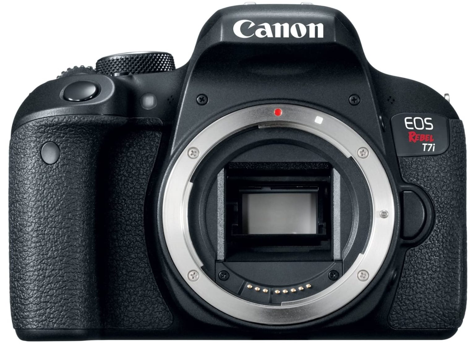 What is the Best Canon Camera for Wedding Photography?