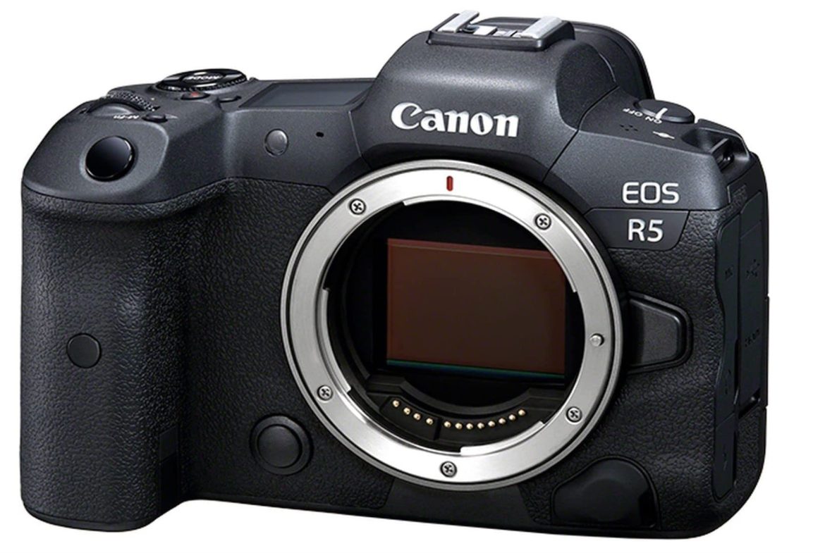 Best Cameras for Food Photography- The Top Five