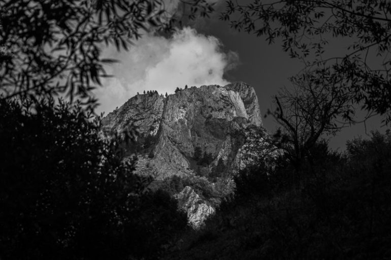 Nature Photography Tutorial – A Beginners Guide