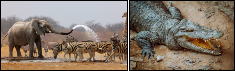 Nature Photography Tutorial – A Beginners Guide