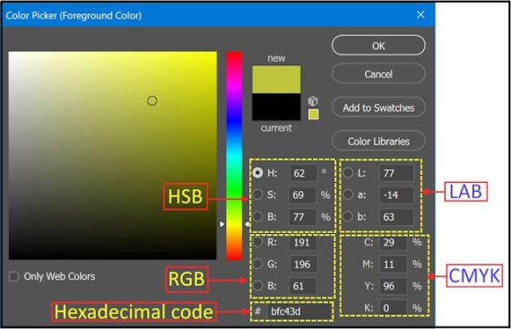 Mastering Color Theory for Photographers: The Complete Guide