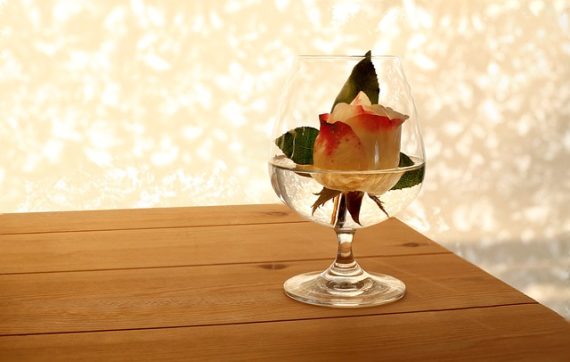 Still Life Photography Lighting: A Photographer’s Guide