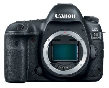 Discover the Best Canon Low Light Cameras -Top 8 Picks