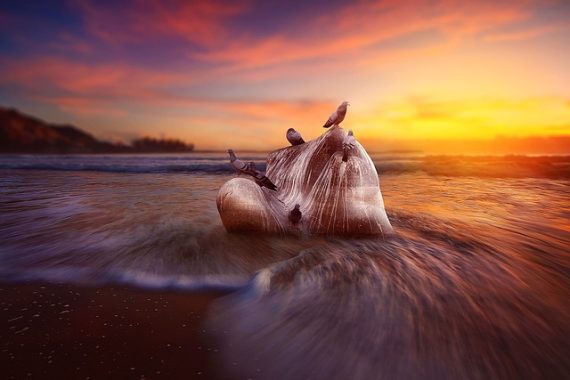 Mastering Color Theory for Photographers: The Complete Guide