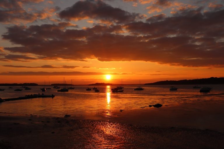 Discover the Best Canon Low Light Cameras -Top 8 Picks